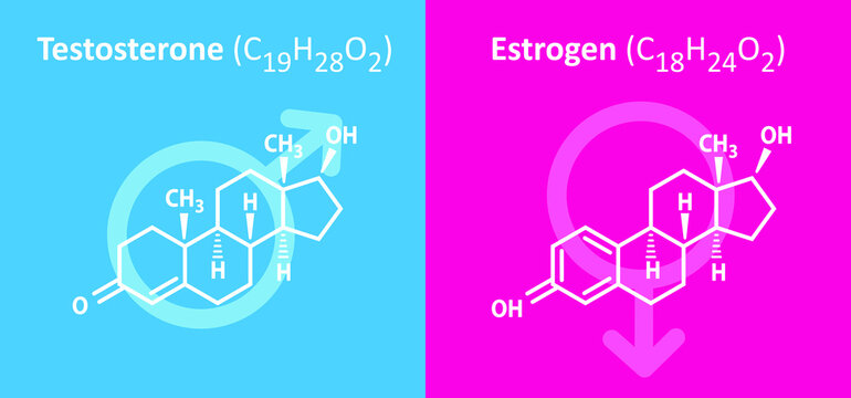 C19H28O2 Images – Browse 27 Stock Photos, Vectors, and Video | Adobe Stock