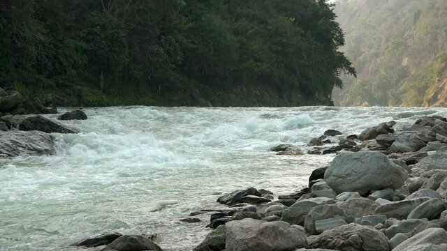 Obrázky Bandipur – procházejte fotografie, vektory a videa 1,059 ...
