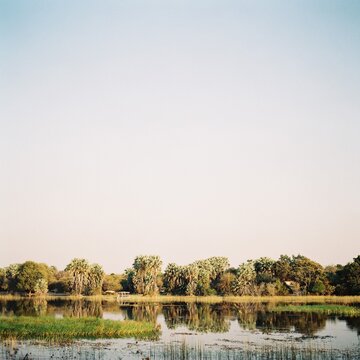 Okovango Bilder – Durchsuchen 80 Archivfotos, Vektorgrafiken und Videos ...