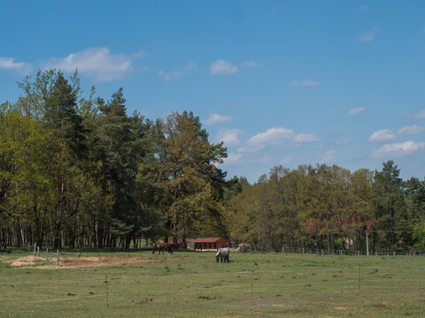 รูปภาพHorozontal – เลือกดูภาพถ่ายสต็อก เวกเตอร์ และวิดีโอ259 | Adobe Stock