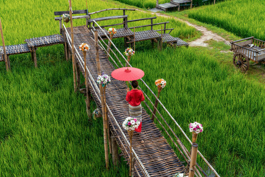 รูปภาพLamduan – เลือกดูภาพถ่ายสต็อก เวกเตอร์ และวิดีโอ231 | Adobe Stock