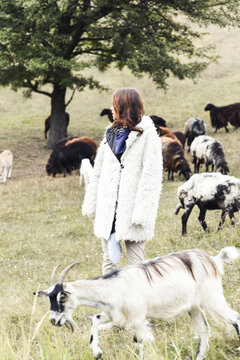 Imágenes de Aprisco: descubre bancos de fotos, ilustraciones, vectores ...