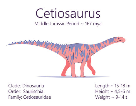 Cetiosaurus Images – Browse 55 Stock Photos, Vectors, and Video | Adobe ...