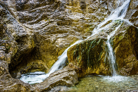 Gumpe Bilder – Durchsuchen 303 Archivfotos, Vektorgrafiken und Videos ...