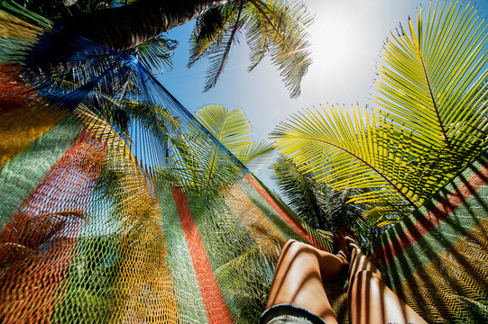 รูปภาพHamok – เลือกดูภาพถ่ายสต็อก เวกเตอร์ และวิดีโอ5 | Adobe Stock