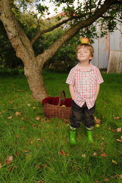 「Scrumping」の写真素材 | 44件の無料イラスト画像 | Adobe Stock