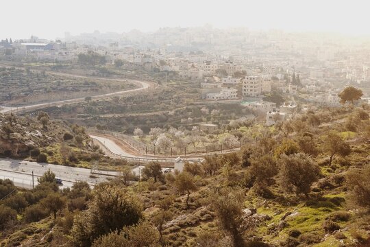 รูปภาพGaza – เลือกดูภาพถ่ายสต็อก เวกเตอร์ และวิดีโอ20,762 | Adobe Stock