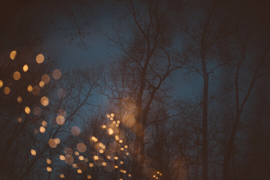 Will-O'-The-Wisp Images – Browse 29 Stock Photos, Vectors, and Video ...