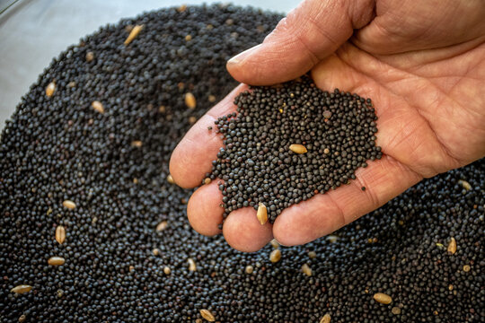 รูปภาพRapssaat – เลือกดูภาพถ่ายสต็อก เวกเตอร์ และวิดีโอ93 | Adobe Stock