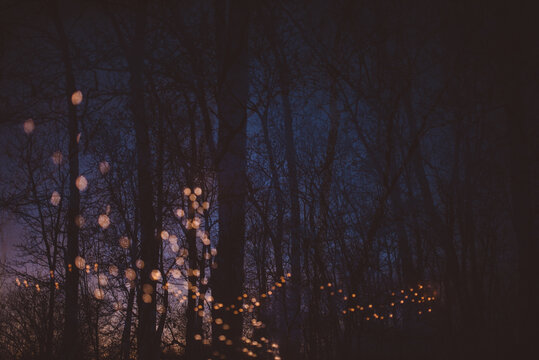 Will-O'-The-Wisp Images – Browse 29 Stock Photos, Vectors, and Video ...