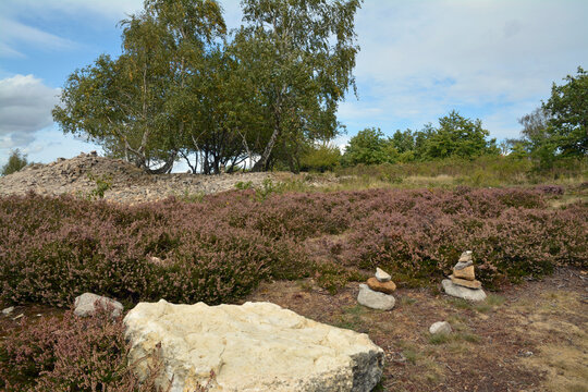 Hiwweltour Bilder – Durchsuchen 93 Archivfotos, Vektorgrafiken und ...