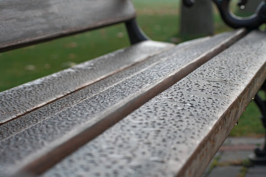 รูปภาพBrench – เลือกดูภาพถ่ายสต็อก เวกเตอร์ และวิดีโอ1,334 | Adobe Stock