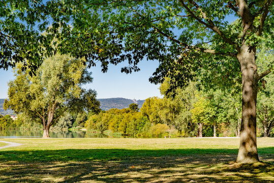 Fuldaaue Bilder – Durchsuchen 80 Archivfotos, Vektorgrafiken und Videos ...