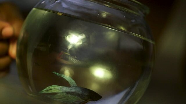 Imagens de Tappig – Explore Fotografias do Stock, Vetores e Vídeos de ...