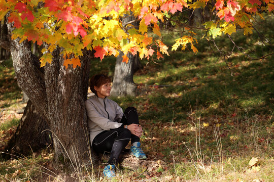 Resting Under A Tree Images – Browse 17,542 Stock Photos, Vectors, and ...