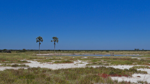 Makalani Images – Browse 102 Stock Photos, Vectors, and Video | Adobe Stock