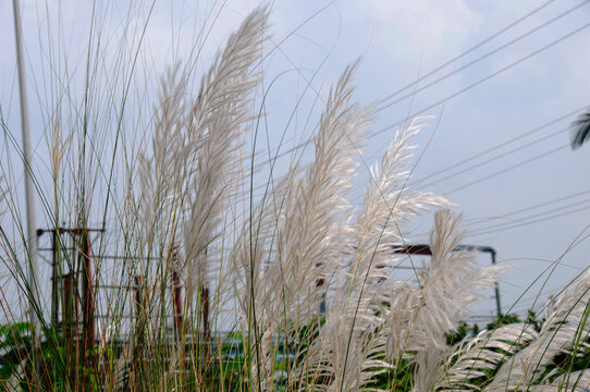159 件の最適な Kashful 画像、ストック写真、ベクター | Adobe Stock
