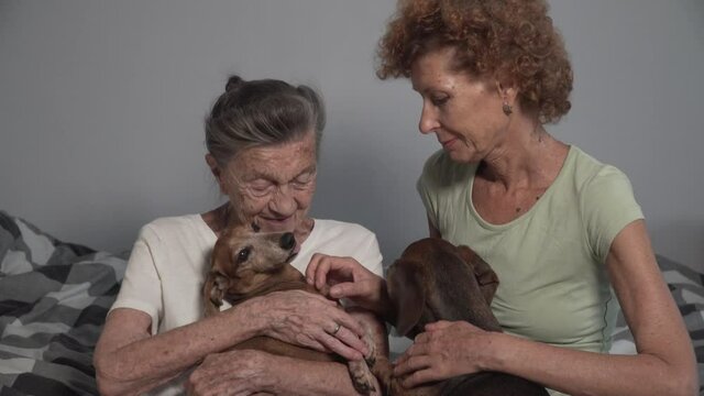 Senile Bilder – Durchsuchen 5,203 Archivfotos, Vektorgrafiken und ...