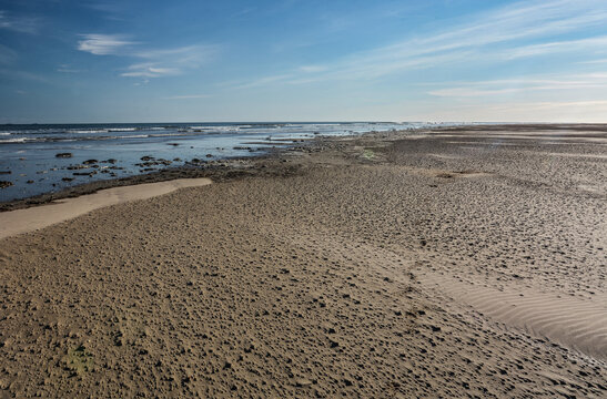 Ginst Images – Browse 12 Stock Photos, Vectors, and Video | Adobe Stock