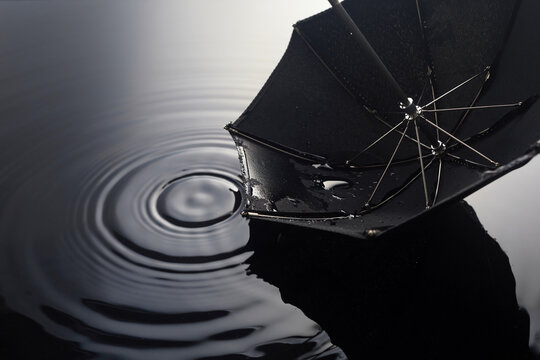รูปภาพGlumly – เลือกดูภาพถ่ายสต็อก เวกเตอร์ และวิดีโอ1,268 | Adobe Stock