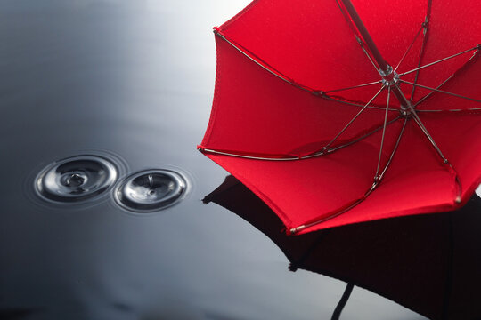 รูปภาพGlumly – เลือกดูภาพถ่ายสต็อก เวกเตอร์ และวิดีโอ1,268 | Adobe Stock
