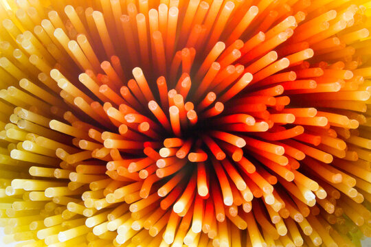 Remolino Images – Browse 3,453 Stock Photos, Vectors, and Video | Adobe ...