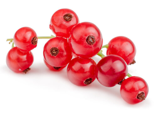 Berries White Background Images – Browse 1,355,661 Stock Photos ...
