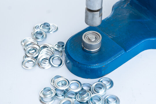 Lederzecke Bilder – Durchsuchen 846 Archivfotos, Vektorgrafiken und ...