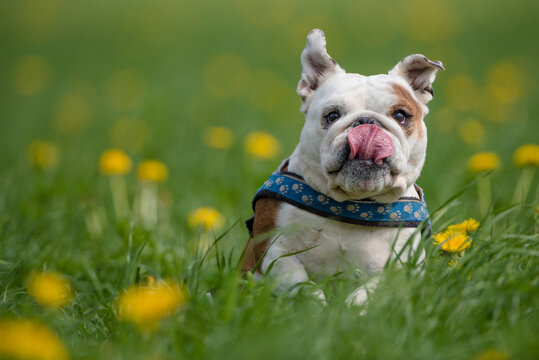 Reto photos, images, assets | Adobe Stock