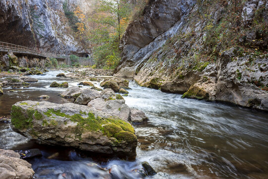 Jerma Images – Browse 165 Stock Photos, Vectors, and Video | Adobe Stock
