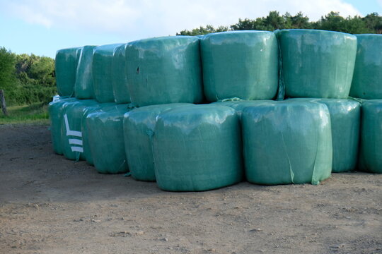 910 Images – Browse 280 Stock Photos, Vectors, and Video | Adobe Stock