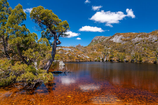 "Wombat Pool" Images – Browse 51 Stock Photos, Vectors, and Video ...