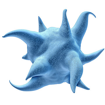 Gerinne Bilder – Durchsuchen 44,511 Archivfotos, Vektorgrafiken und ...