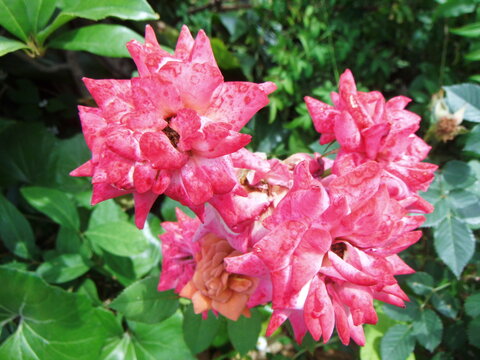 Azaria Images – Browse 54 Stock Photos, Vectors, and Video | Adobe Stock