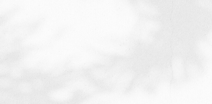 "Shadow Background" Images – Browse 23 Stock Photos, Vectors, and Video ...