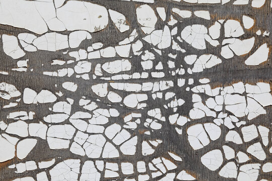 Imágenes de Cuarteado: descubre bancos de fotos, ilustraciones ...