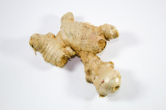 「Raiz」の画像 - 2,121 件の Stock 写真、ベクターおよびビデオ | Adobe Stock