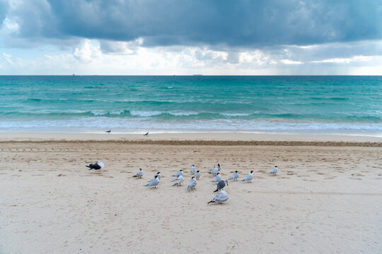 Kostenfrei-Bilder: Stock-Fotos & -Videos. | Adobe Stock