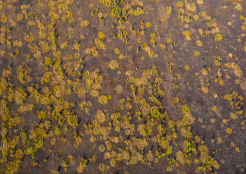 รูปภาพSun-Scorched – เลือกดูภาพถ่ายสต็อก เวกเตอร์ และวิดีโอ791 | Adobe ...