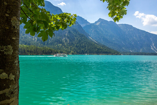 รูปภาพPlansee – เลือกดูภาพถ่ายสต็อก เวกเตอร์ และวิดีโอ2,899 | Adobe Stock
