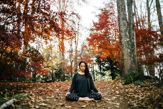รูปภาพMeditator – เลือกดูภาพถ่ายสต็อก เวกเตอร์ และวิดีโอ903 | Adobe Stock