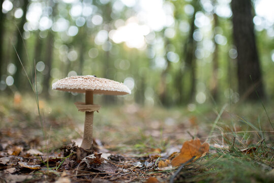 Reto photos, images, assets | Adobe Stock