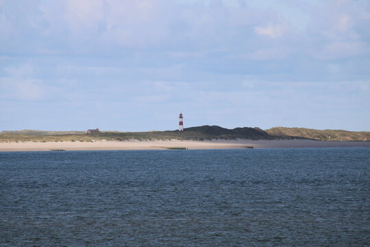 List-Ost bilder – Bläddra bland 102 stockfoton, vektorer och videor ...