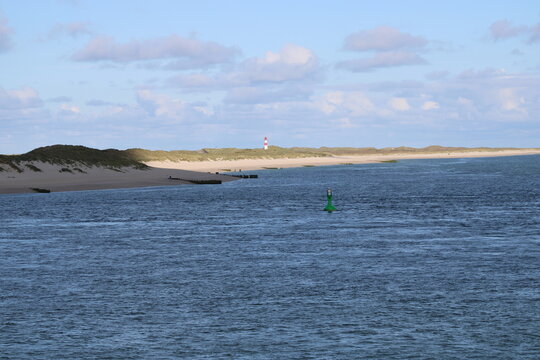 List-Ost bilder – Bläddra bland 102 stockfoton, vektorer och videor ...