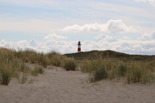 List-Ost bilder – Bläddra bland 102 stockfoton, vektorer och videor ...