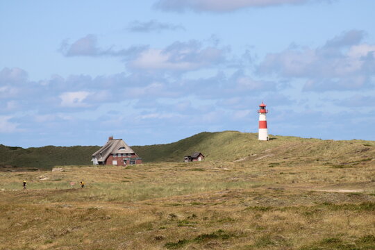 List-Ost bilder – Bläddra bland 102 stockfoton, vektorer och videor ...