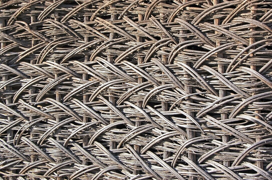 รูปภาพWrith – เลือกดูภาพถ่ายสต็อก เวกเตอร์ และวิดีโอ33,642 | Adobe Stock