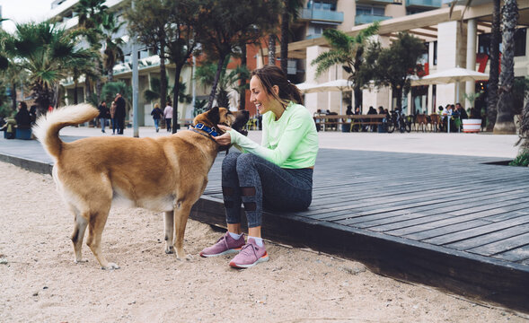 「Mongler」の写真素材 | 13件の無料イラスト画像 | Adobe Stock