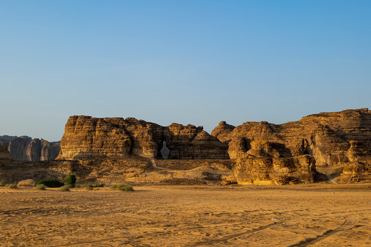 Alula Images – Browse 2,459 Stock Photos, Vectors, and Video | Adobe Stock