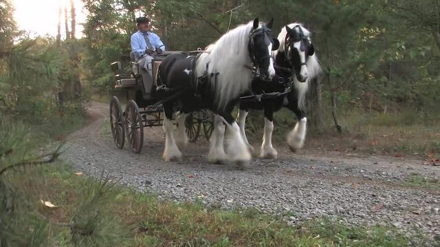 "Open Wagon" Images – Browse 271 Stock Photos, Vectors, and Video ...